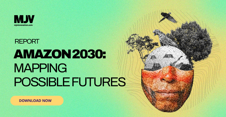 Amazon 2030: Mapping possible futures